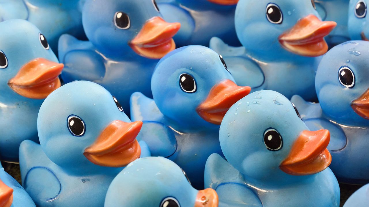 Blue Ducks to Host Charity Gala and Auction in Support of ISWAN
